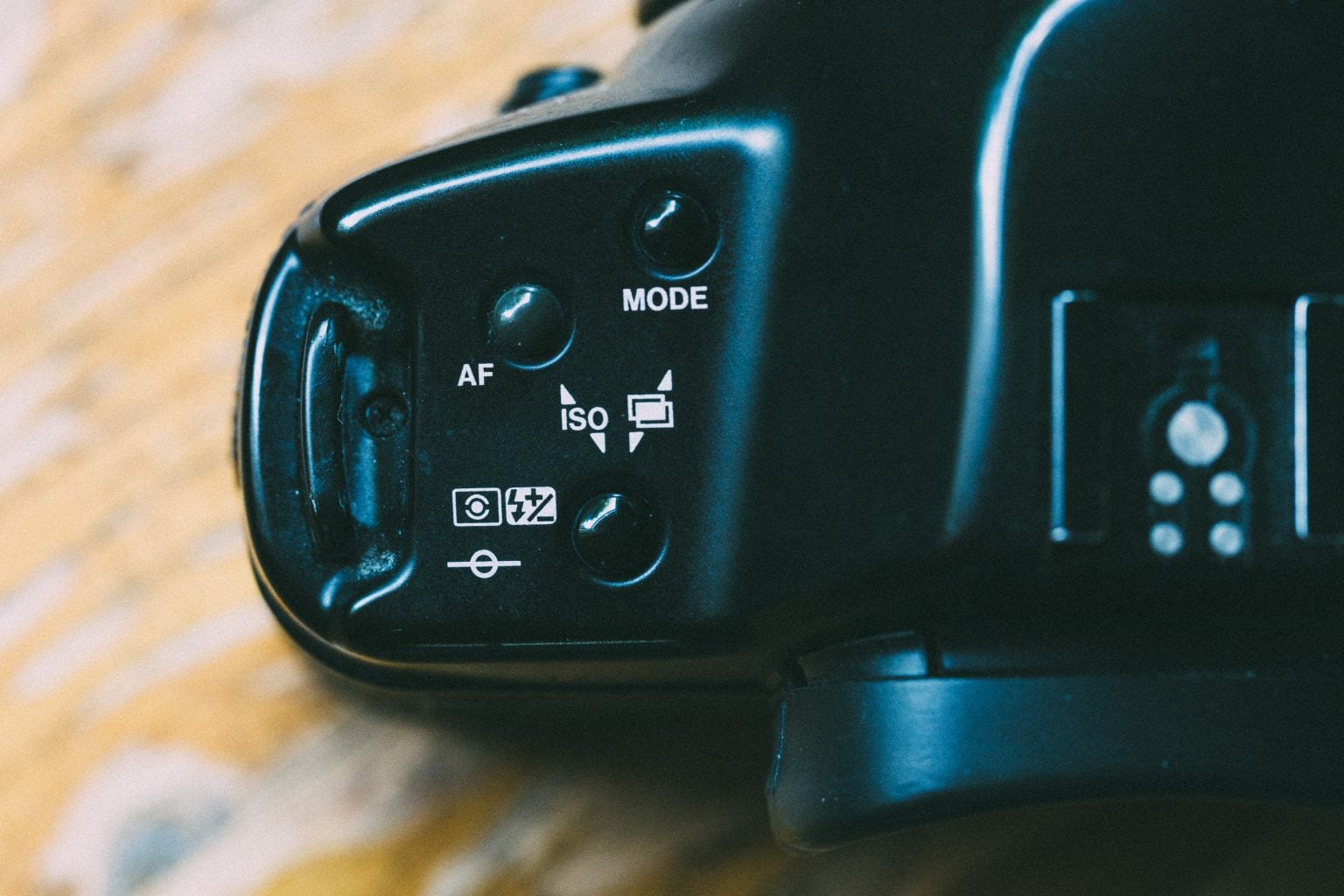 Canon EOS-1N Camera Review • scott locklear