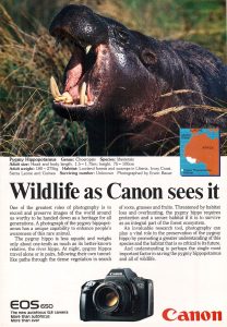 Canon EOS 650 Camera Review • scott locklear